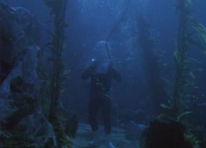 My First Movie Blogathon: The Boatniks (1970) • She Blogged By Night