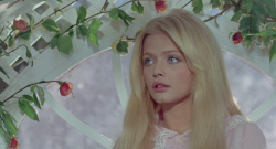 Candy (1968) • She Blogged By Night